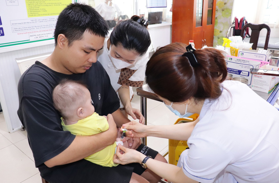 Ghi nhận ca viêm não Nhật Bản đầu tiên trong năm 2024